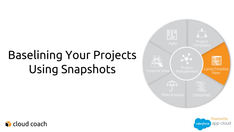 Baselining your Projects Using Snapshots | Cloud Coach